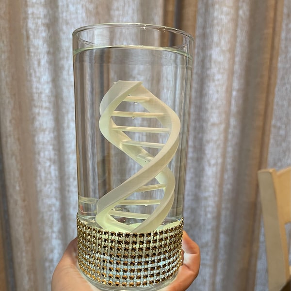 DNA Double Helix Decoration | Tabletop Desk Decor | Science & Biology ...