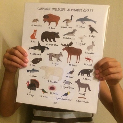 Canadian Wildlife Alphabet Chart - Etsy Canada