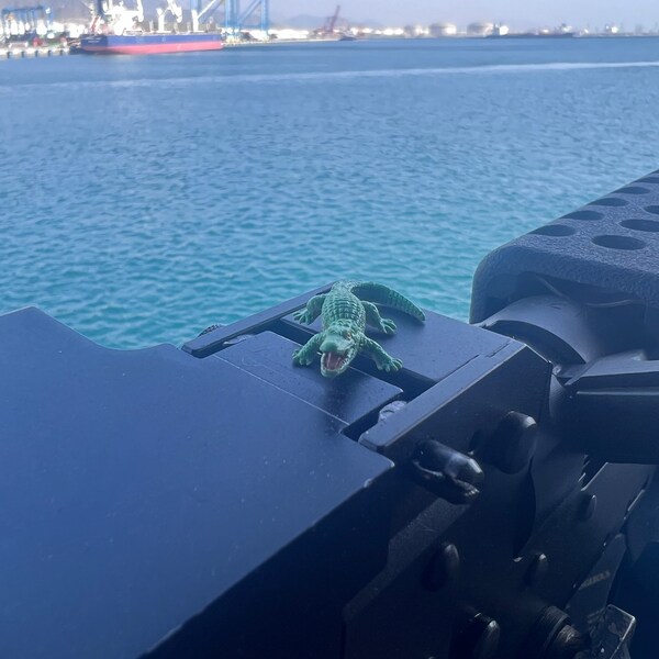 Set of Miniature Alligators - Mini Gators - Terrarium Supplies - Teeny ...