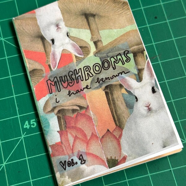 Collage Mini Zine Kit - Etsy