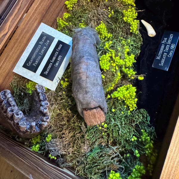 Alien Autopsy Specimen Realistic Mummified Prop - Etsy