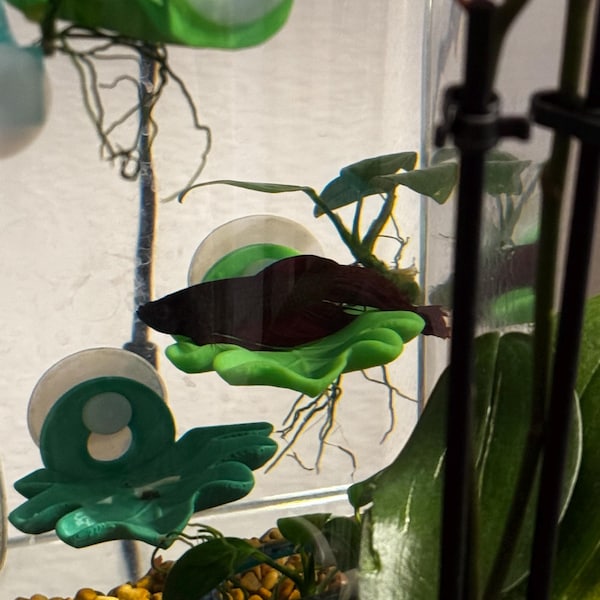 Pixel Hide for Reptile/amphibian | STL File With Commercial Licensing ...