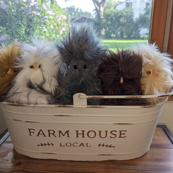Pippy, Poppy, Peppy and Pal the Mini Silkies - Etsy