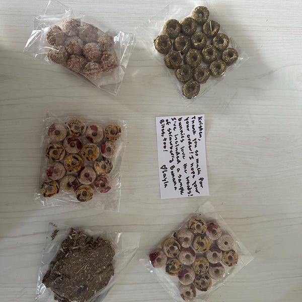 Gourmet Mini Donut Treats for Rabbits | Quality Treats for Rabbits ...