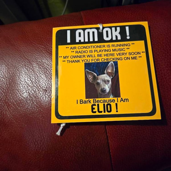 Custom Dog on Board OK Hanging Sign |use Your Pup Photo or Use Ours ...