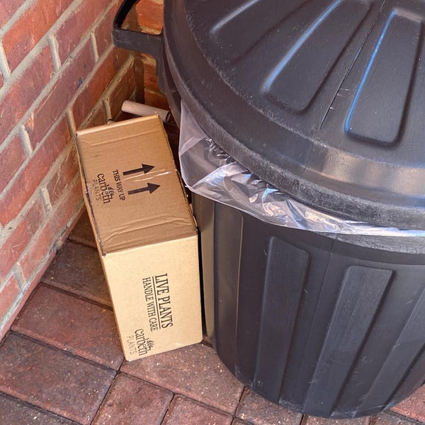 Rose 'fantastic at 60' - Happy Birthday Rose Gift Wrapped With Huge Bow ...