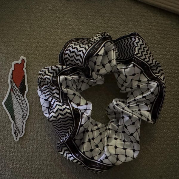 Palestine Map Poppy Patch - Etsy