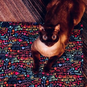 Siamese Catnip Toy, Tuxedo Cat Catnip Toy, Panther Catnip, Butterscotch Catnip Toy, Jungle Cats ...