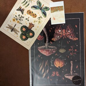 A4, A5 // Fall Autumn of New Horizons // Illustration, Drawing, Art ...