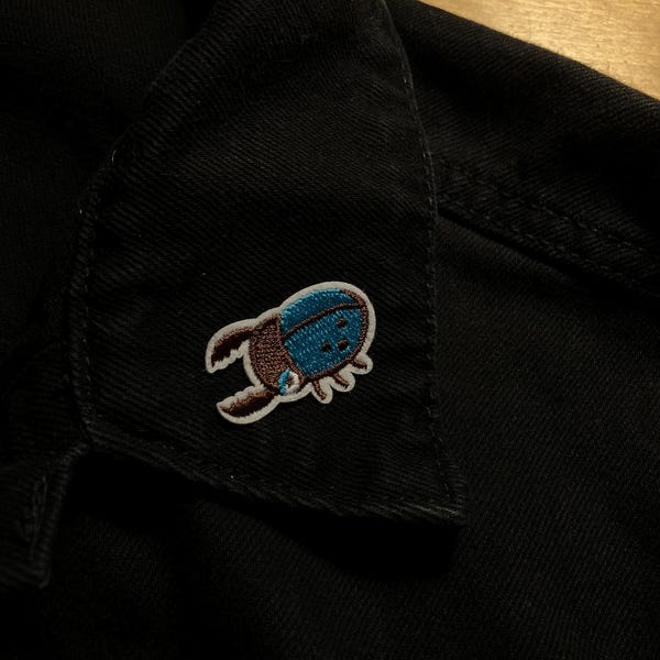 Tiny Beetle Patch, Unicorn Beetle Patch, Iron on Patch, Embroidered ...