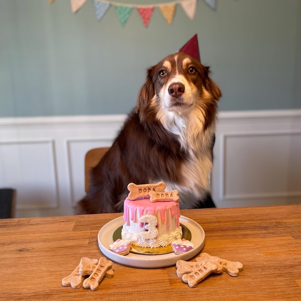 Strawberries Dog Cake | Dog Birthday Cake (wheat Free) - Etsy