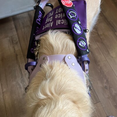 Leash Sleeve or Collar Wrap, Your Text Here, Customizable, Custom ...