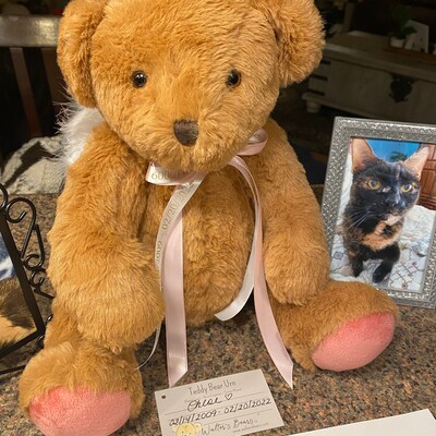 Teddy Bear Urn Custom Ribbon Urns for Human Ashes Huggable Urn Urn for ...