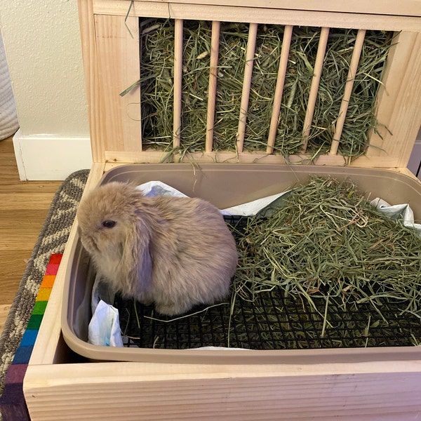 Medium - Hop Box: Rabbit Bunny Hay Feeder and Litter Pan Combo - Etsy