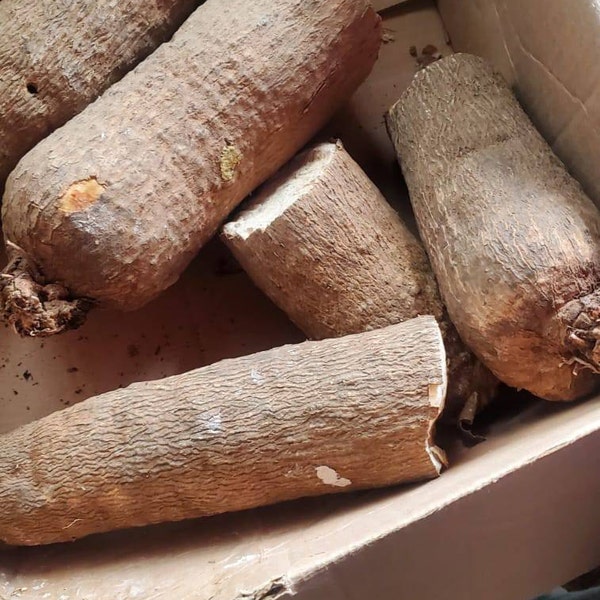 Bonga Fish/debone Bonga Fish/agbodo/shawa 5oz. - Etsy