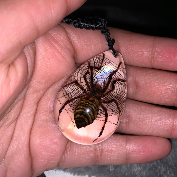 REAL Orb Weaver Teardrop Spider on Real Preserved Spider Web Necklace ...