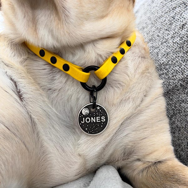 Luna Dog Tag, Pet ID Tag, Personalized Dog Tag, Microchip Pet Tag ...