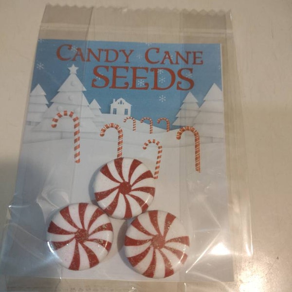 Cactus Full Alphabet Banner, Printable Cactus Banner, Boho Banner ...