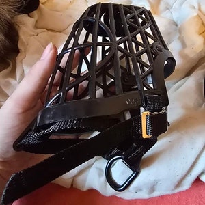 Removable Ear Option for Most Ears. - Etsy