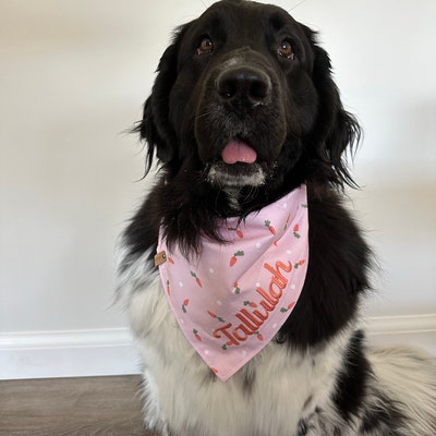 Personalized Fall Puppy Kerchief Custom Autumn Dog Scarf - Etsy