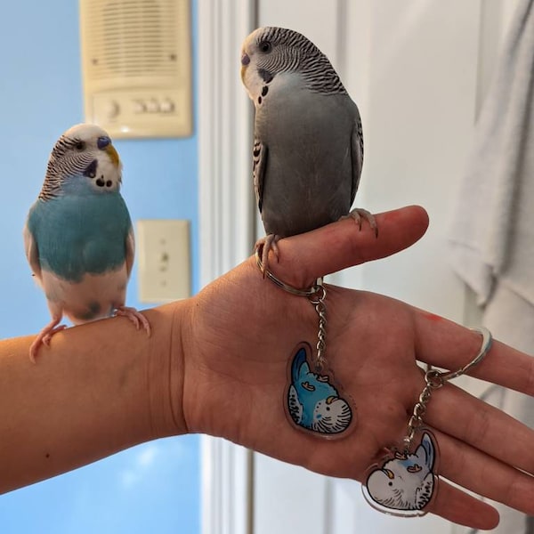 Dangling Budgie Keychain - Etsy