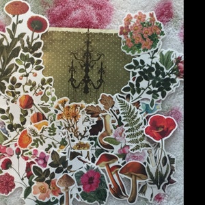 Botanical Floral Stickers/plants Planner Stickers/ Filofax - Etsy