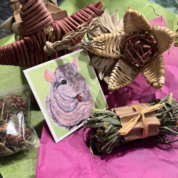 3 Mini Treat Bags. Foraging, Fling and Chew Toys. Rabbit Guinea Pig ...