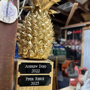 Trophy Plate 1 X 3 CUSTOM Engraved Aluminum Plate/free SHIPPING ...