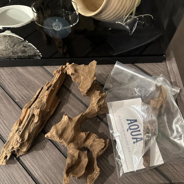 Nano Hardscape Setup: Beach Stones and Pebbles | Aquarium Aquascape ...