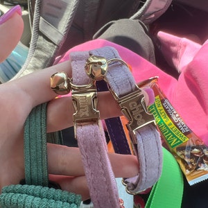 Custom Cat Collar Bell Bow in Blue Corduroypersonalized - Etsy