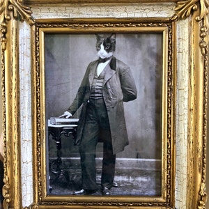 Velociraptor Dapper Raptor Dinosaur Cards Jurassic World | Etsy