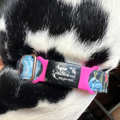 Engraved Dog Tag Personalized Dog Tag,slide on Dog Tag,silicone Dog Tag ...