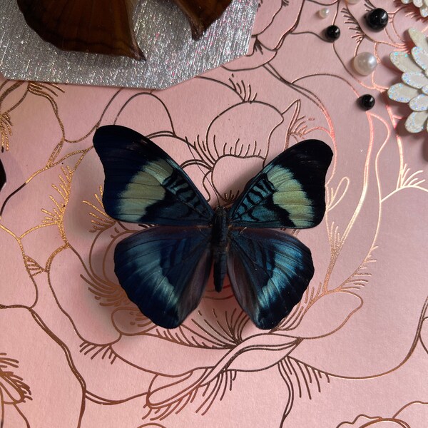 Panacea Prola Blue Green Butterfly Peru - Etsy