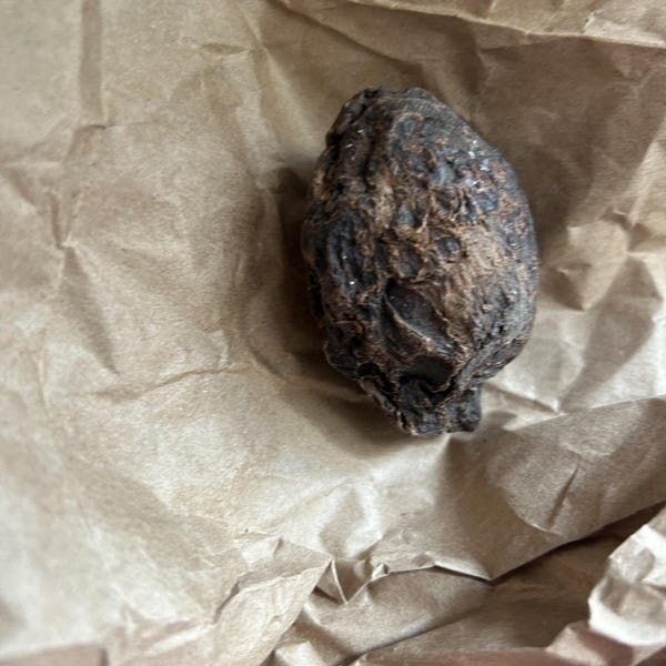 Natural Chewing Sponge,taakotsa,sawie From Ghana (100g) - Etsy