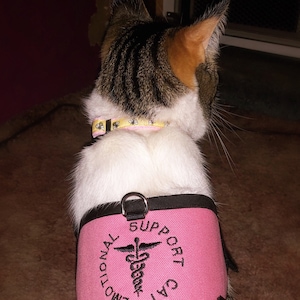 Emotional Support Cat Vest | Etsy