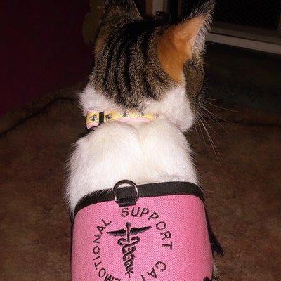 Emotional Support Cat Vest - Etsy