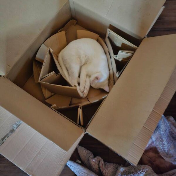 1963-bone Dollar Bill Federal Reserve Note 'barr' Note Circulated ...