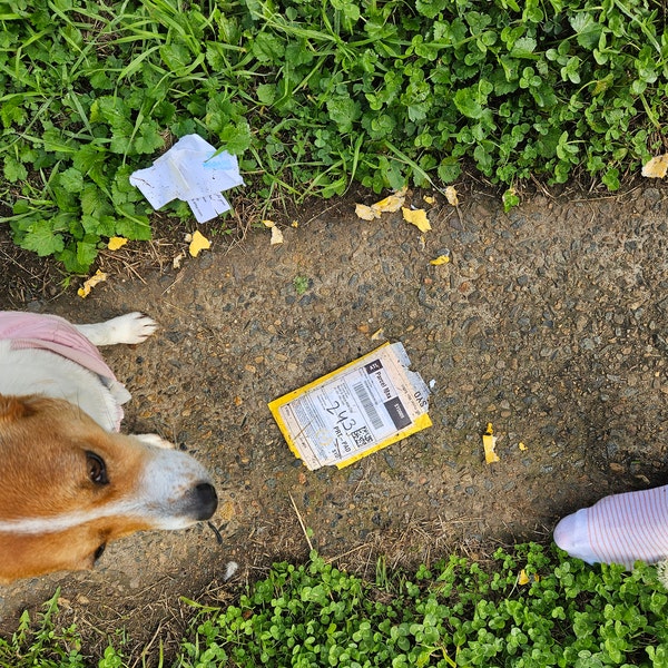 Dive Fin Key Chain | Diving Keychain for Men and Women | Scuba Key ...