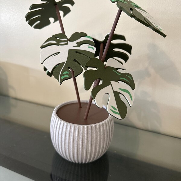 Coaster Plant Set for Drinks Decoration Plant Variegated Leaves ...