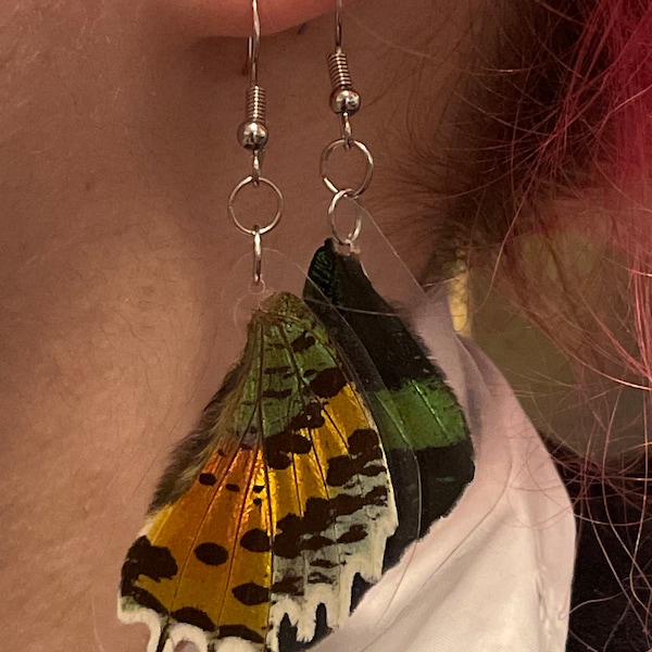 Real Butterfly Wing Earrings// Sunset Moth Jewelry// Laminated// Gift ...