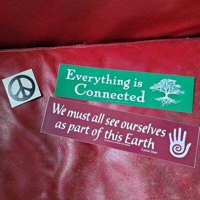 Environmental Bumper Sticker Everything is Connected Bumper Sticker ...
