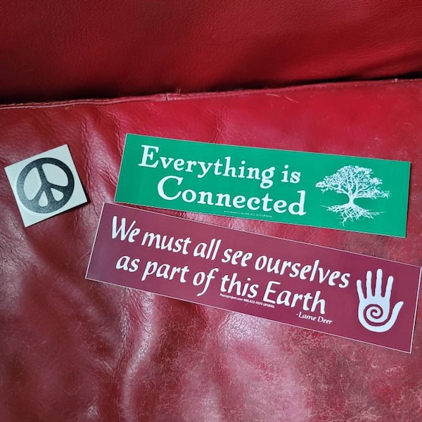 Environmental Bumper Sticker - Everything is Connected - Bumper Sticker ...