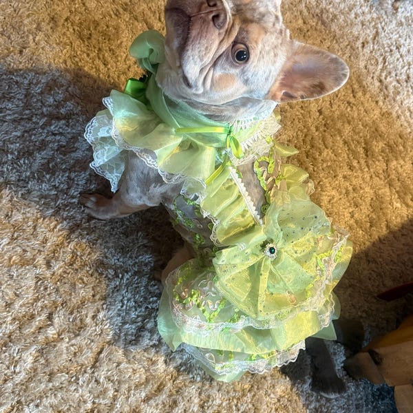 Custom Dog Wedding Tuxedo and Bow Bandana Bib, Navy Blue Formal Suit ...