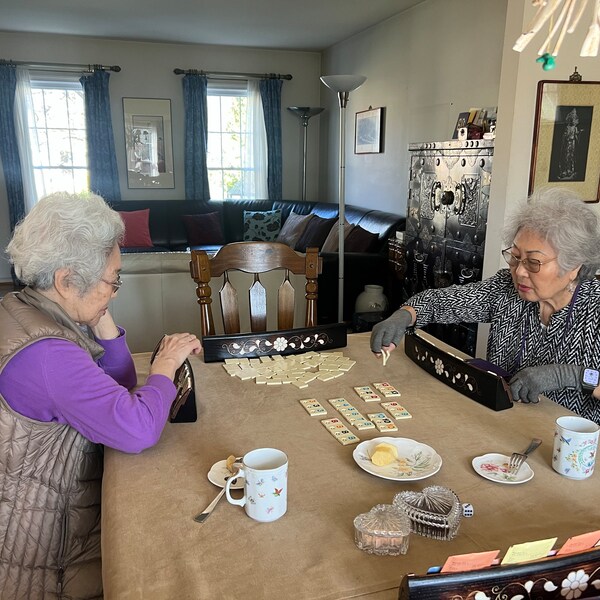 Premium Quality Thick Rummy Tiles, Rummikub Game Tiles, Melamine ...