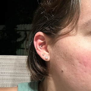 Crossover Conch Clicker Hoop G23 Titanium 12mm Gold Conch - Etsy