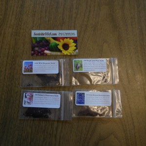 100 RED RASPBERRY Rubus Idaeus Fruit Bush Vine Seeds - Etsy