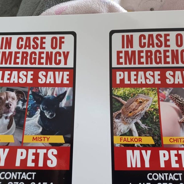 Save 2 Cats STICKER, Pet Emergency, Pet Alert for Home, in Case of ...