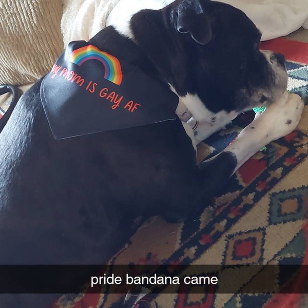 I Love Tim Robinson Baby Tee – Funny ITYSL Shirt for Women – Tim ...