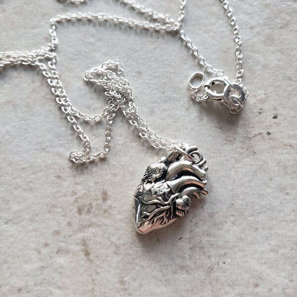 Anatomical Heart Necklace: Sterling Silver Gift for Doctors & Nurses - Etsy