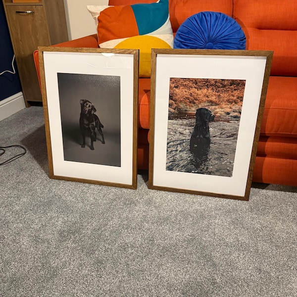 A2 Picture Frame Rustic Royal Blue Photo Frame Blue Frame Vintage Blue ...